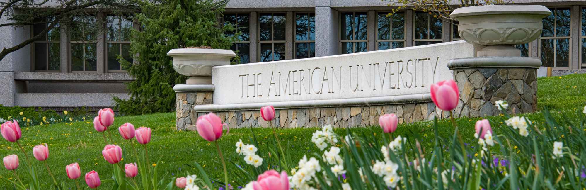 American University Graduate Programs - Niche