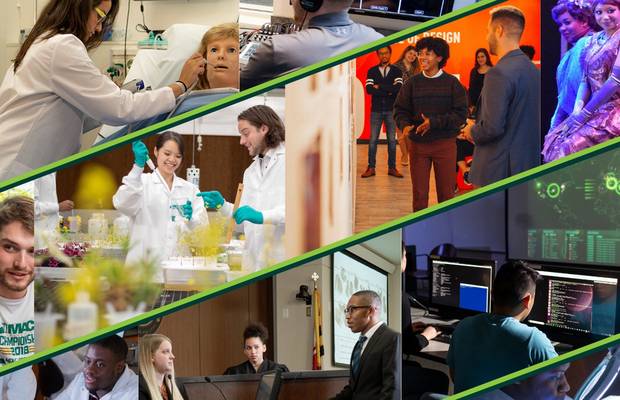 Stevenson University - Niche