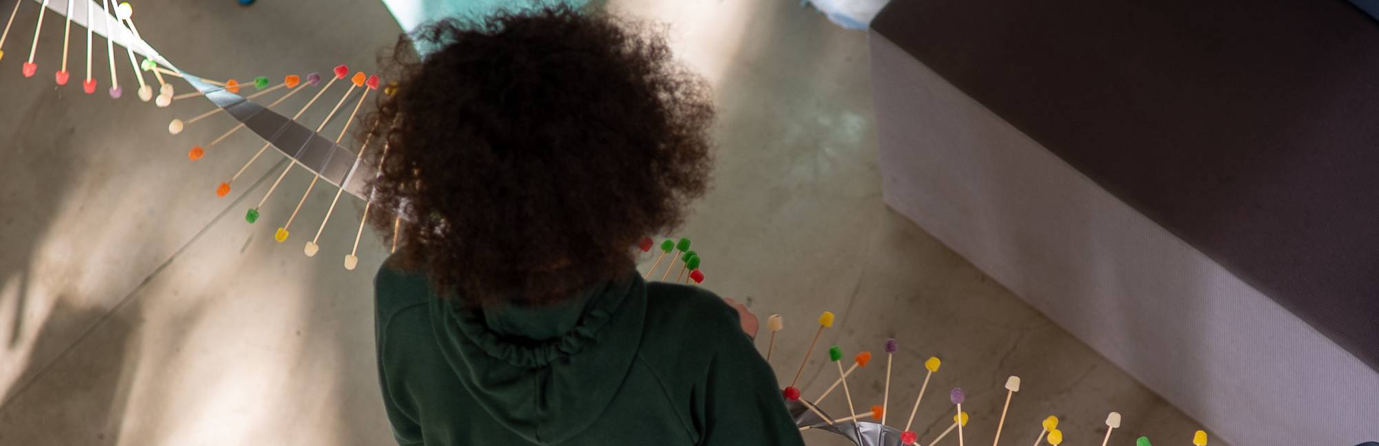 High Tech High International in San Diego, CA - Niche