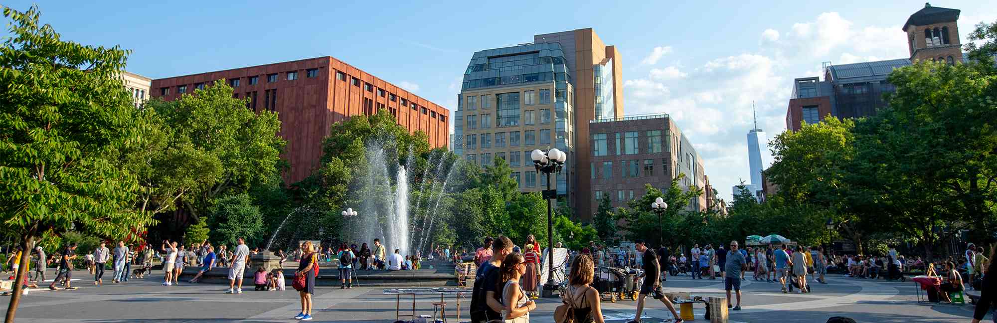 New York University - Niche
