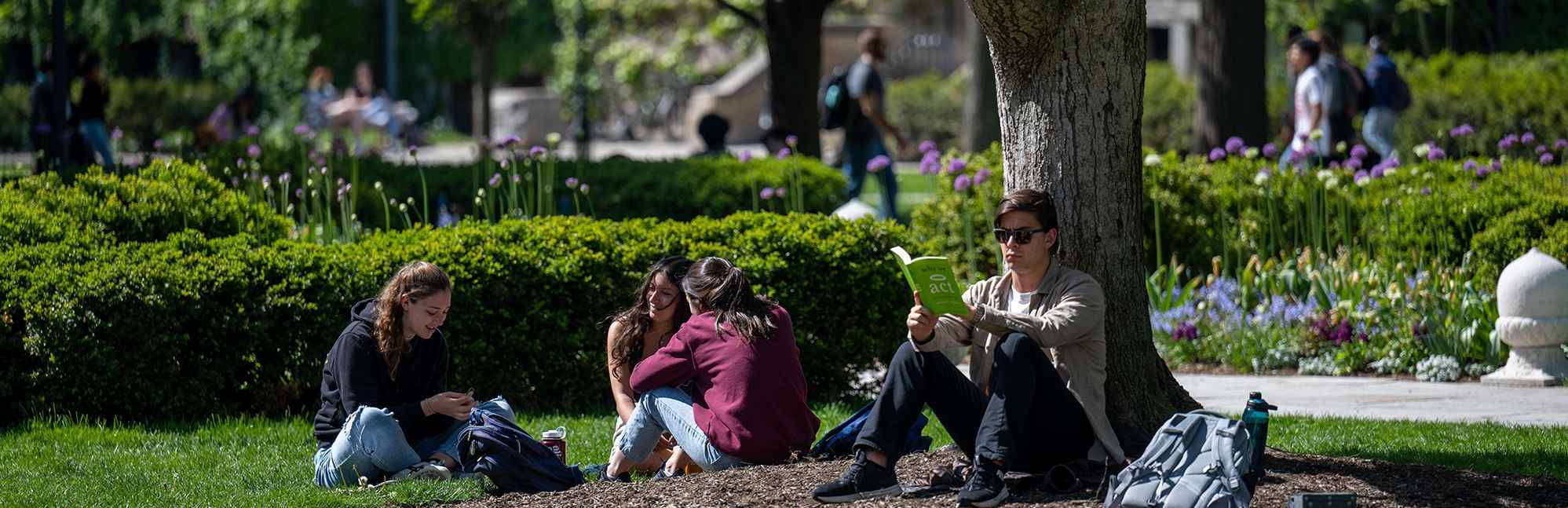 University of Chicago - Niche